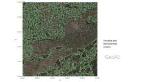 Vegetation Analysis: Methods and Applications - GeoAI